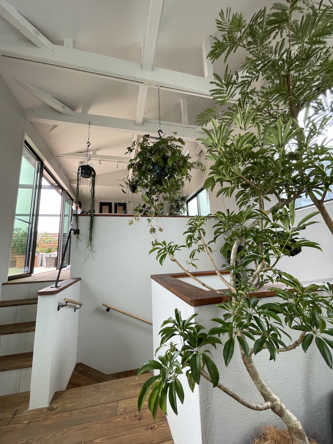 T-Garden – KITORI キトリ