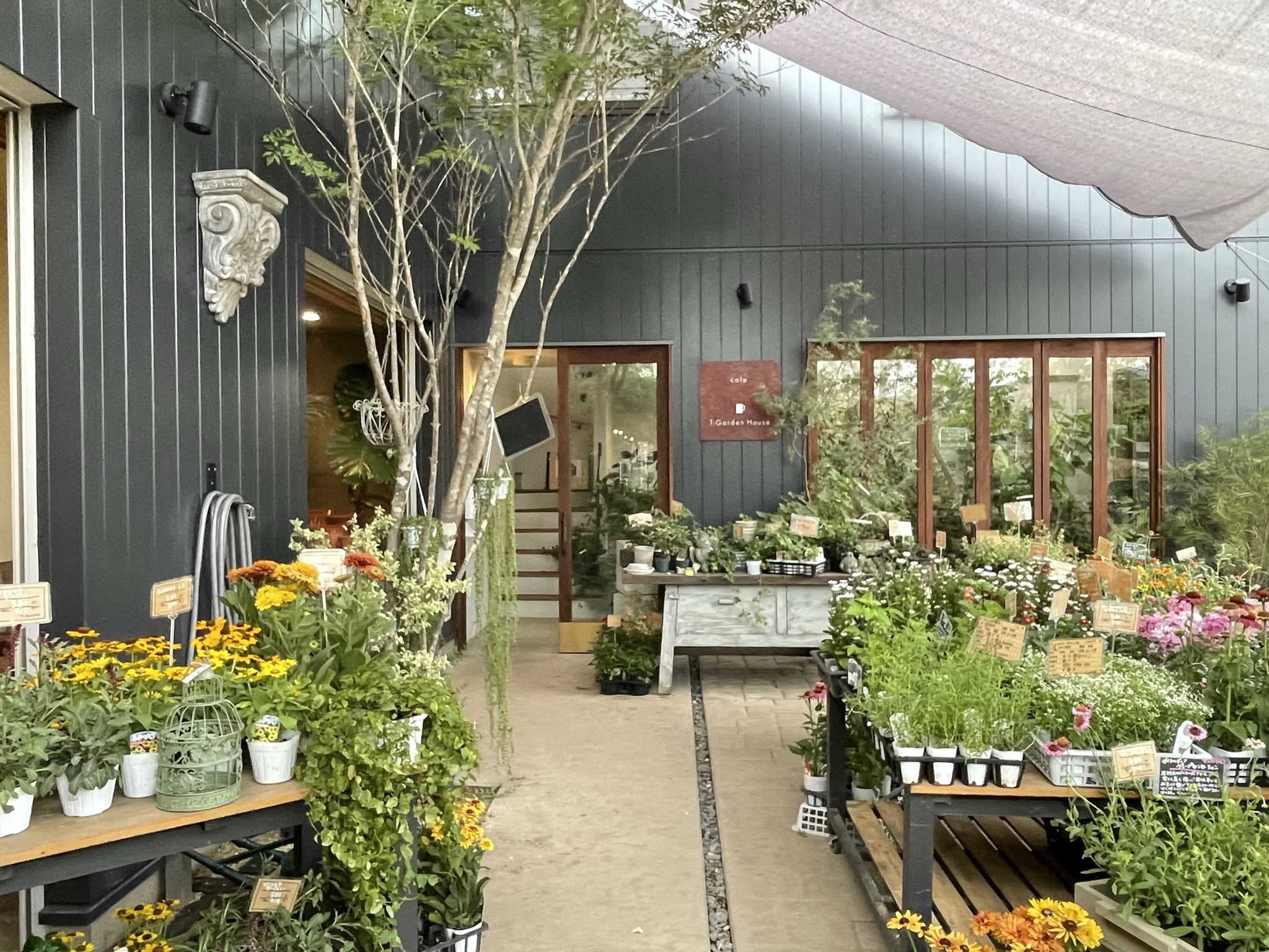 T-Garden – KITORI キトリ