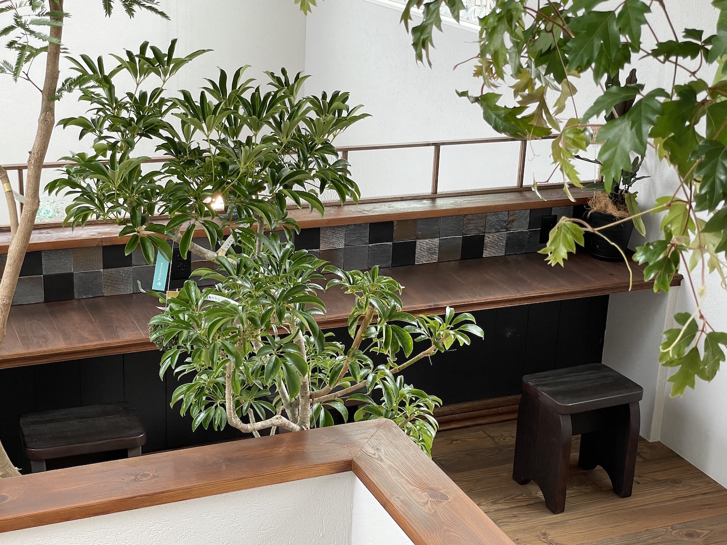 T-Garden – KITORI キトリ